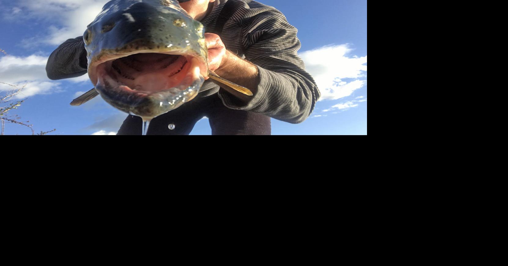 Limited daylight fishing options in local waters | Outdoors ...