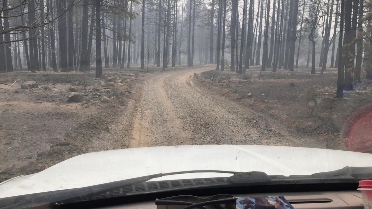 Spring open burn window announced | Local News | heraldandnews.com