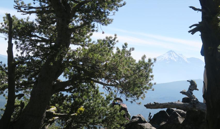 Hiking Goosenest offers tip-top views | Local News | heraldandnews.com