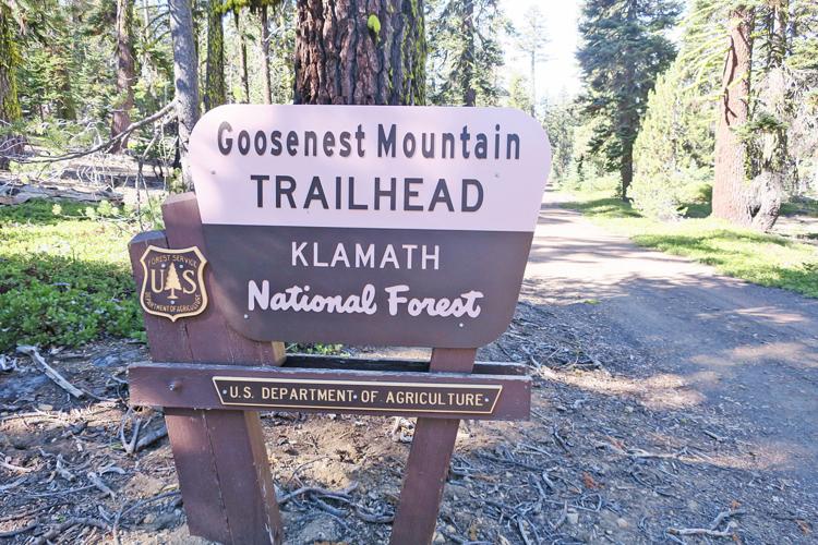 Hiking Goosenest offers tip-top views | Local News | heraldandnews.com
