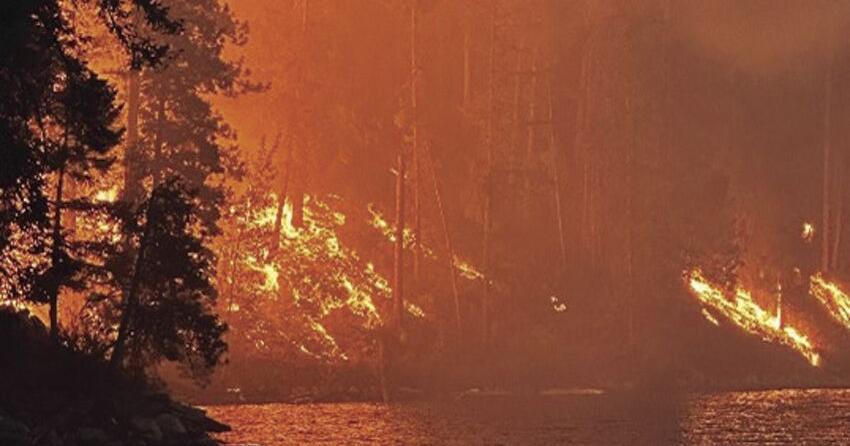 100 human-caused wildfires since June | News | heraldandnews.com