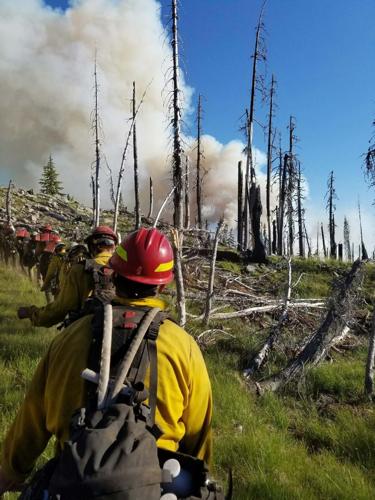 UPDATE: Park's Bybee Fire 10 percent contained; now at 425 acres ...