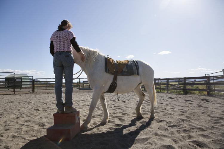 A helping hand for horses | Local News | heraldandnews.com