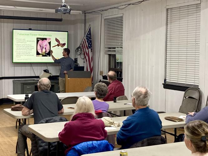 Plant exclusive to Klamath Basin, Applegate’s milkvetch, needs advocacy ...