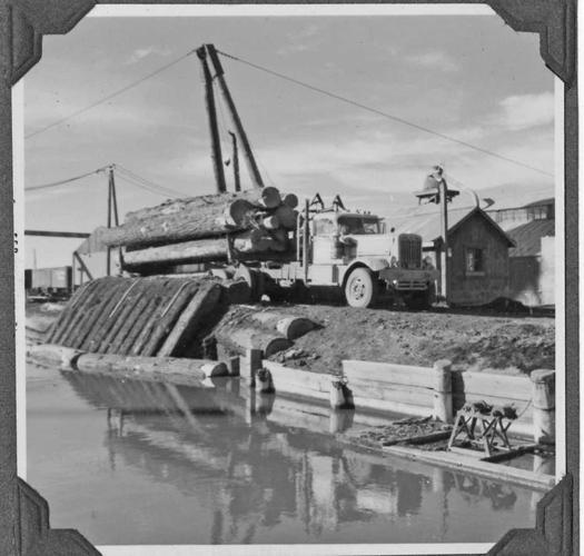 Object Lessons: Lake Ewauna beaver slide | Email Blast | heraldandnews.com