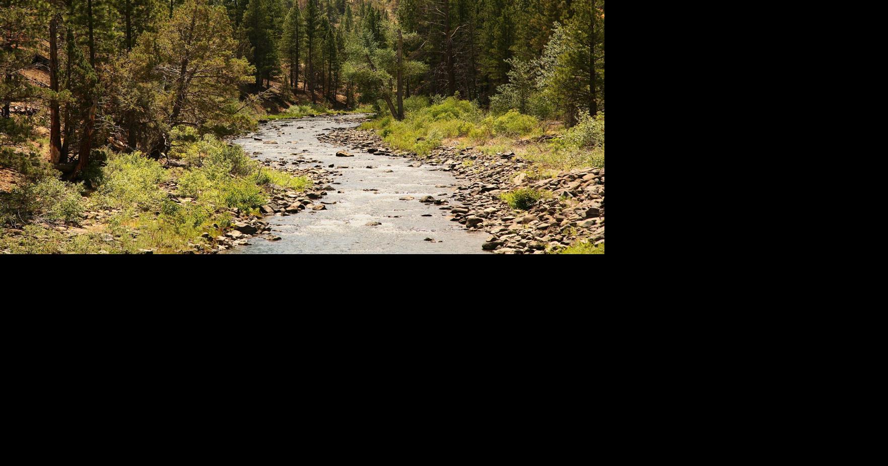 Fremont-Winema Forest seeks public input | News | heraldandnews.com