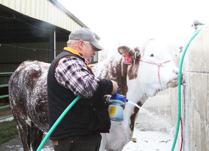 Keeping with tradition | Local News | heraldandnews.com