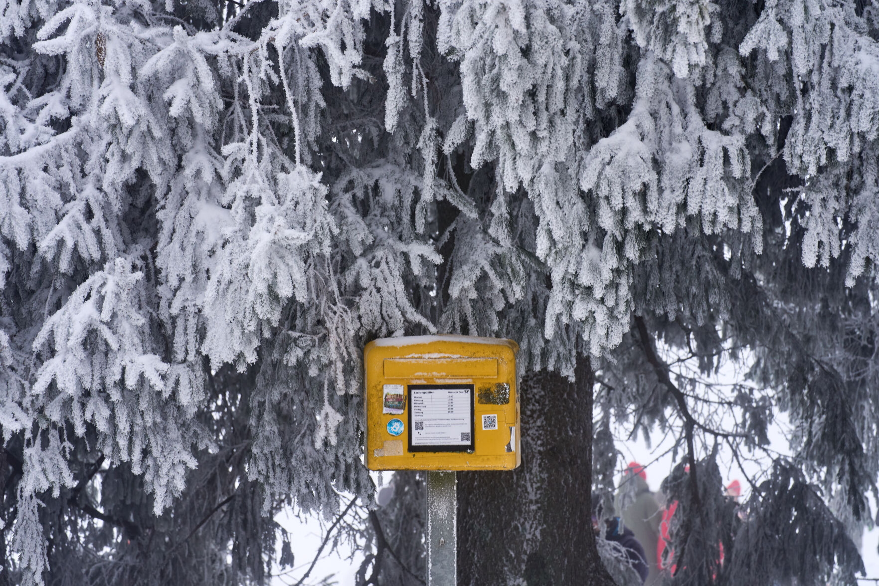 Germany Mail | Associated Press | heraldandnews.com