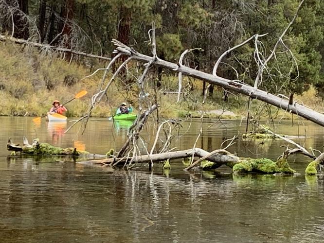 Paddling Spring Creek | Local News | heraldandnews.com
