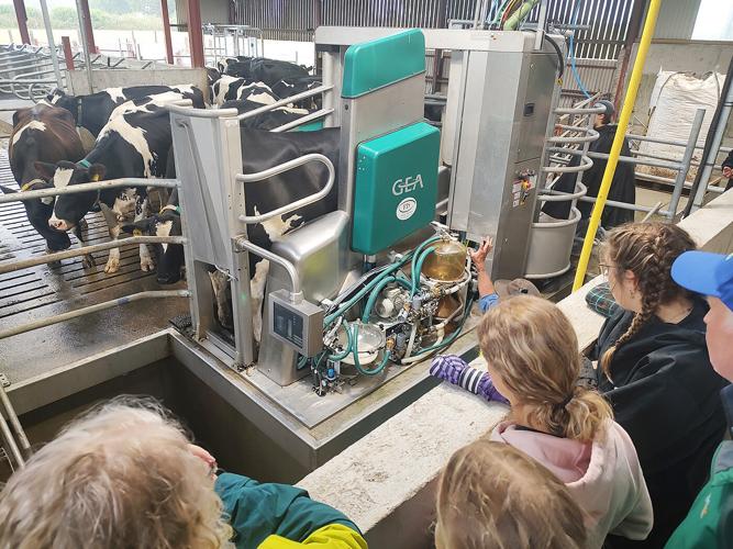 Hands-on history: Lake County students visit Ireland | APG State News ...