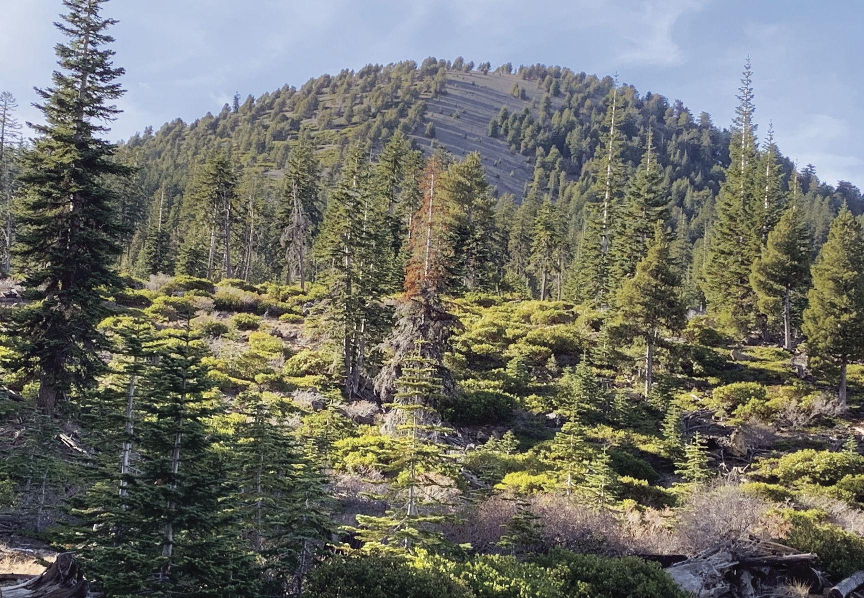 Plotting a way back: Revisiting the Goosenest | Outdoors ...