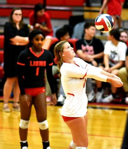 Volleyball roundup: Greenville Lady Lions win home finale; head to ...