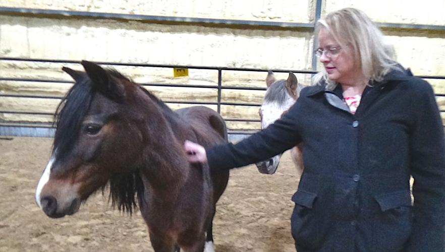 Dr. Ruth Whitely works to 'help in a holistic way' | News ...