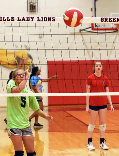 Lady Lions volleyball camp stresses fundamentals | Sports ...