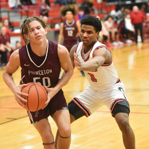 Basketball roundup: Greenville Lions keep playoff hopes alive; Lady ...