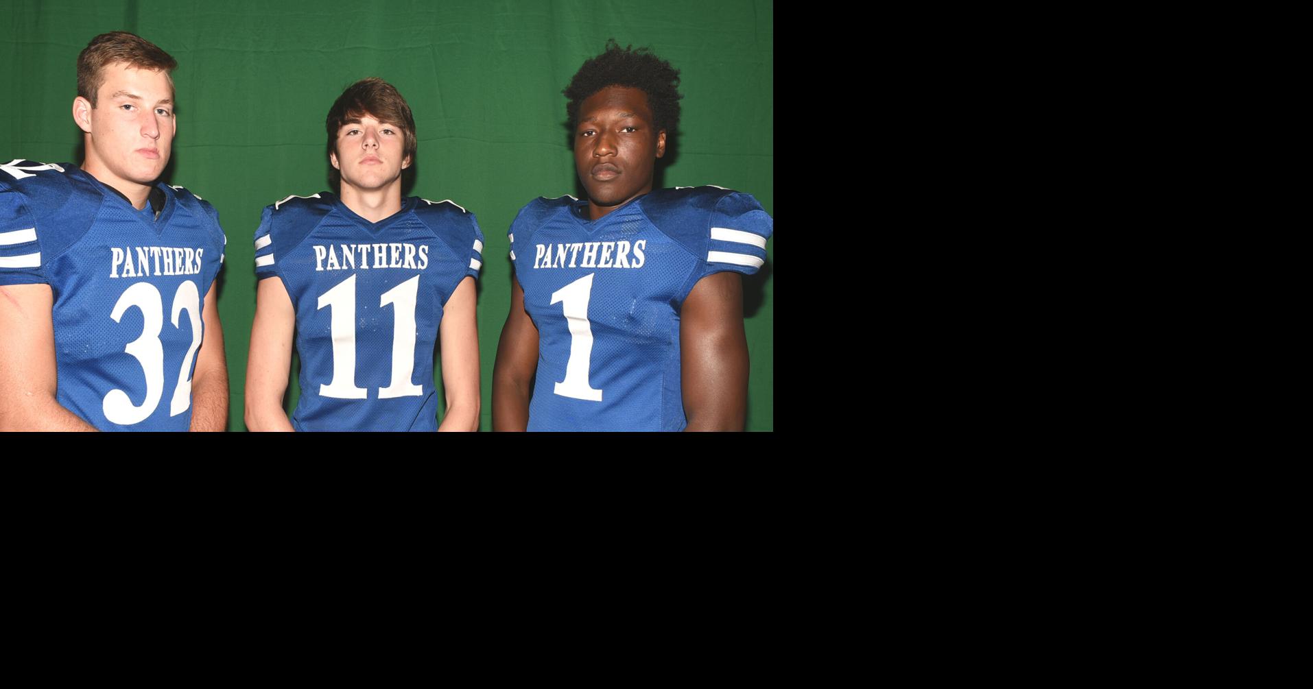 Quinlan Ford Panthers lead the nation in rushing | Sports ...