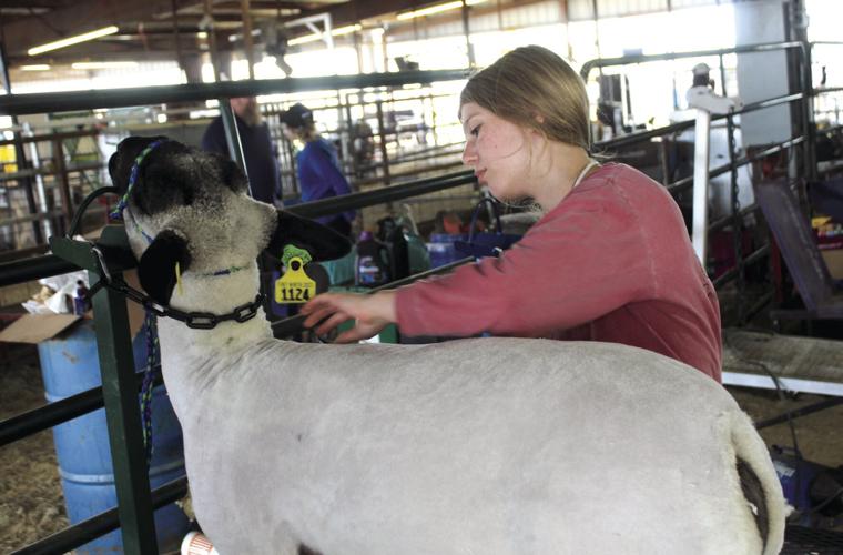 Big concerts, Sale of Champions scheduled for Hunt County Fair | News ...