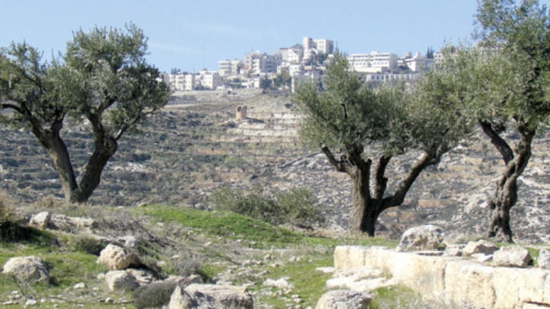 The Real Bethlehem | News | heraldbanner.com