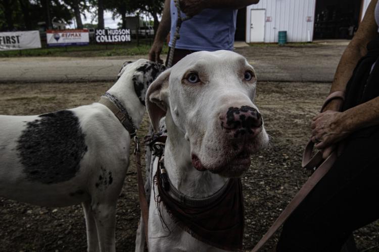Photo gallery: The final day of the 2021 Hunt County Fair and Livestock ...