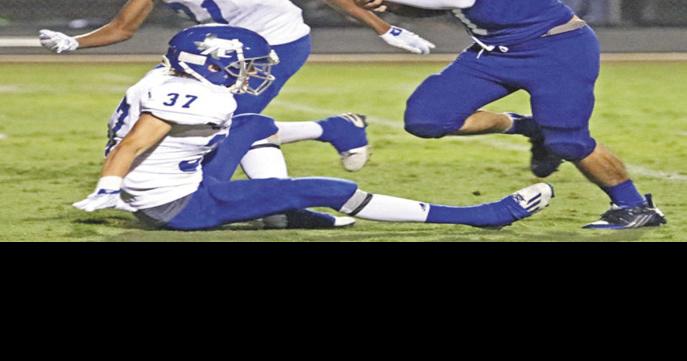 Quinlan Ford wins opener over Rains, 48-22 | Sports | heraldbanner.com