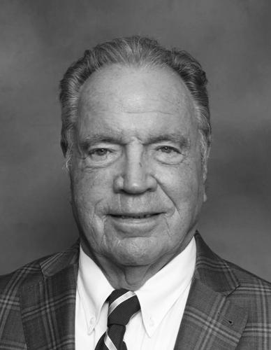 Let the Council decide! | Opinion | heraldbanner.com