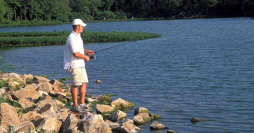 Free Fishing Day is set for Saturday | Sports | heraldbanner.com