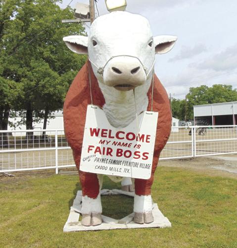 It's Hunt County Fair time! | Local News | heraldbanner.com