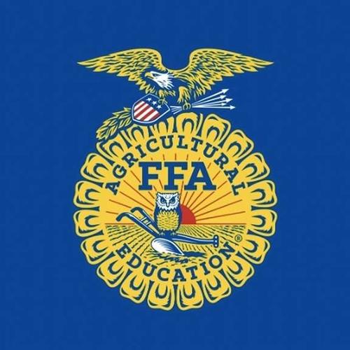 Greenville FFA students show off skills at Hunt County Fair ...