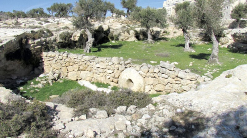 The Real Bethlehem | News | heraldbanner.com