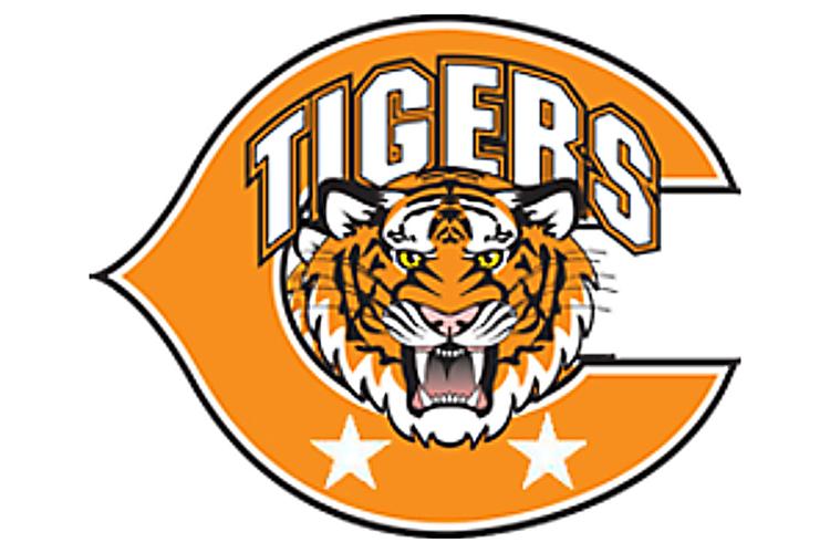 Football capsules: Commerce Tigers, Lone Oak Buffaloes, Boles Hornets ...