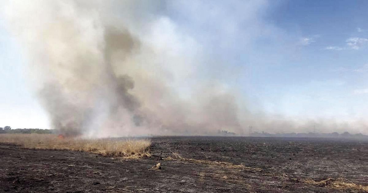 No burn ban planned for county | News | heraldbanner.com