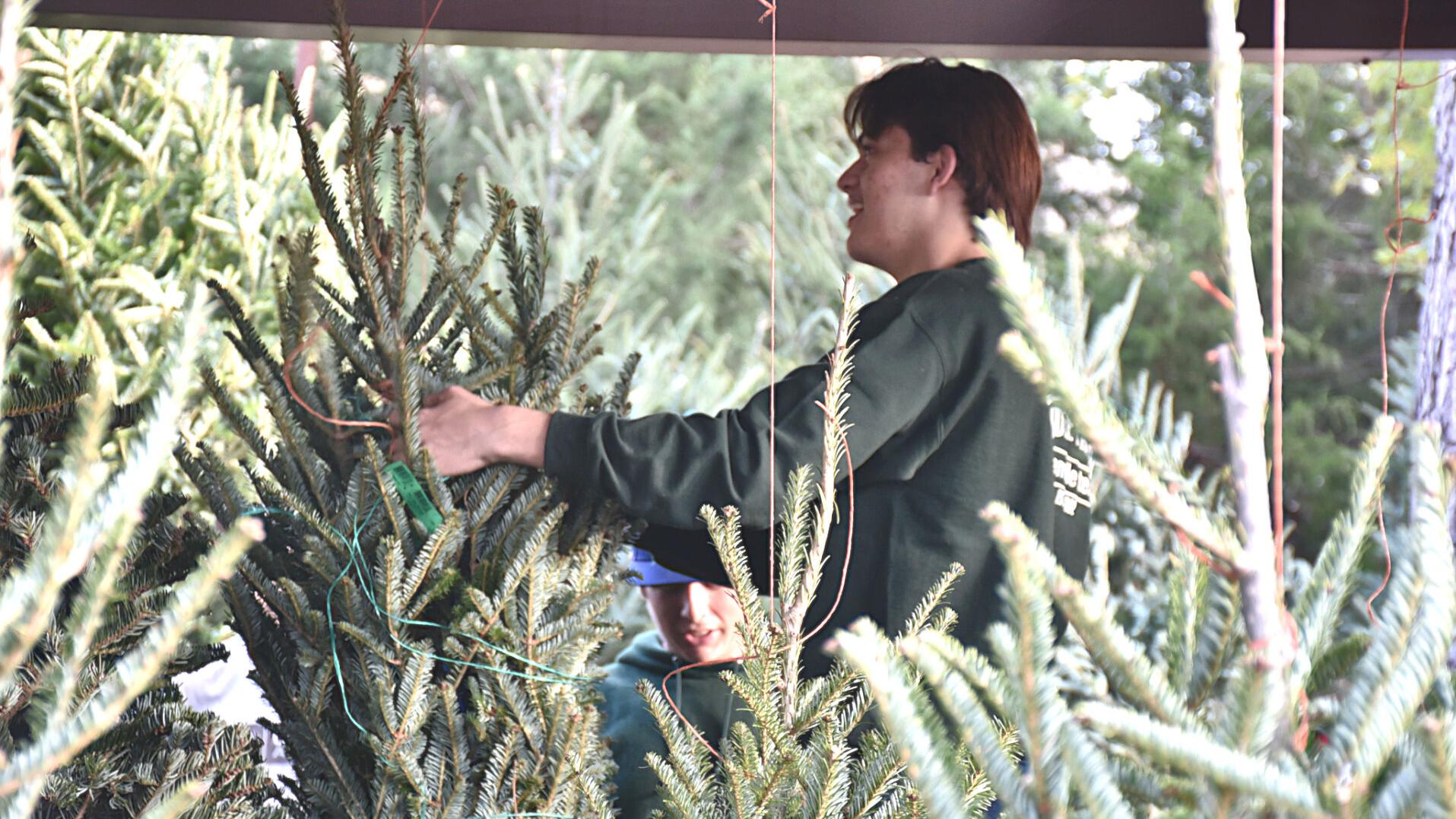 Stars take home winning streak into matchup with the Panthers | Sports ...