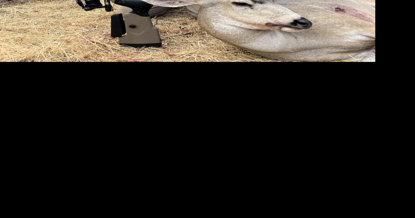 Outdoors with Luke: Here's some tips on attracting deer with grapes ...