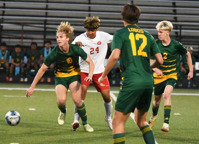 Longview stops Greenville Lions 3-0 at area round of soccer playoffs ...