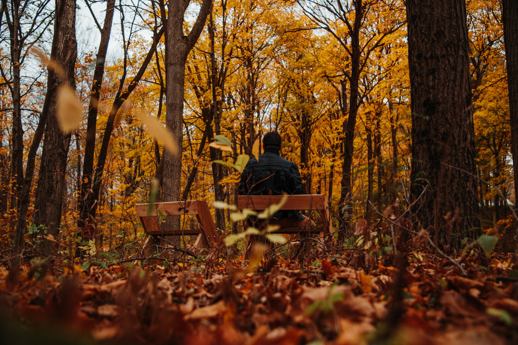 Opting out: Hiking event aims to provide outdoor Black Friday ...