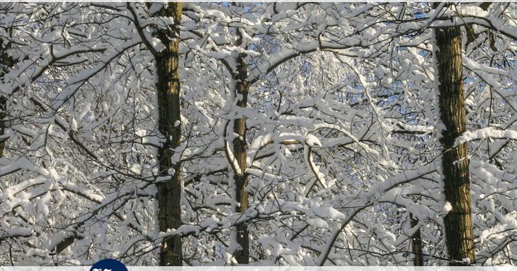 Emergency management agency issues extreme cold warning | News ...