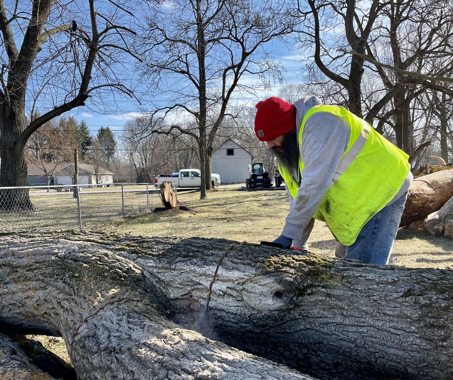 Experts stress eco-friendly approaches to tree, lawn care this spring ...