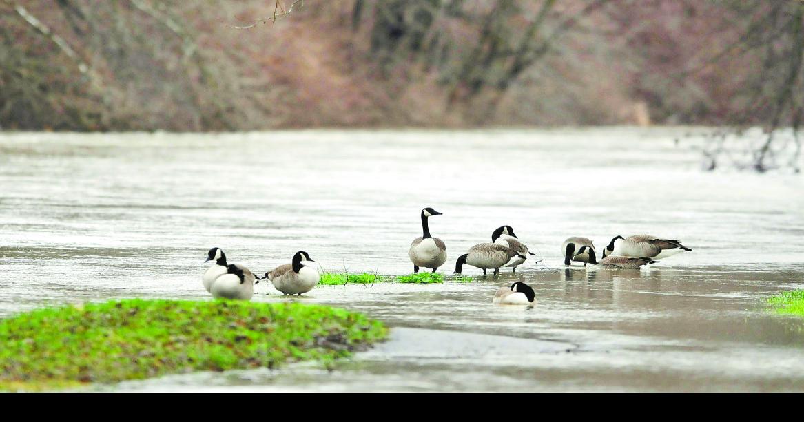 Flooding warning extended as White River levels rise | Local News ...