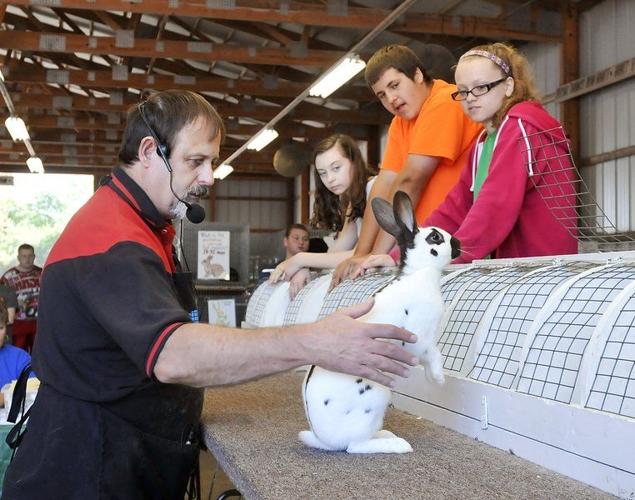 11-year-old Riley Cass wins best of show in rabbit show | Local News ...