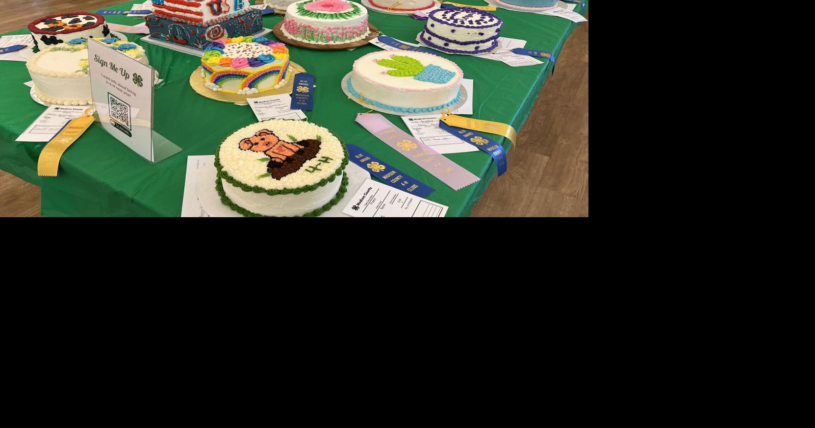 4 H Beginner Cake Decorating Ideas | Shelly Lighting