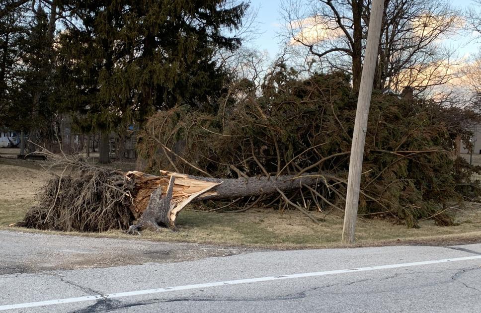 High winds damage courthouse, take down trees in county | Local News ...