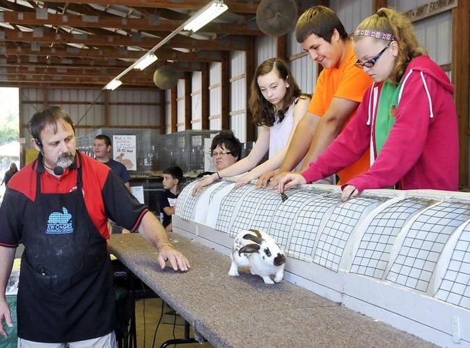11-year-old Riley Cass wins best of show in rabbit show | Local News ...