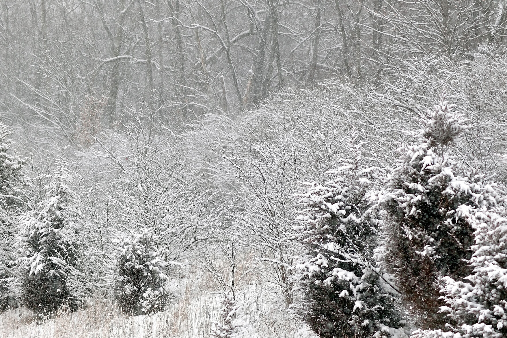 PHOTOS: Winter weather returns to Anderson area | Gallery ...