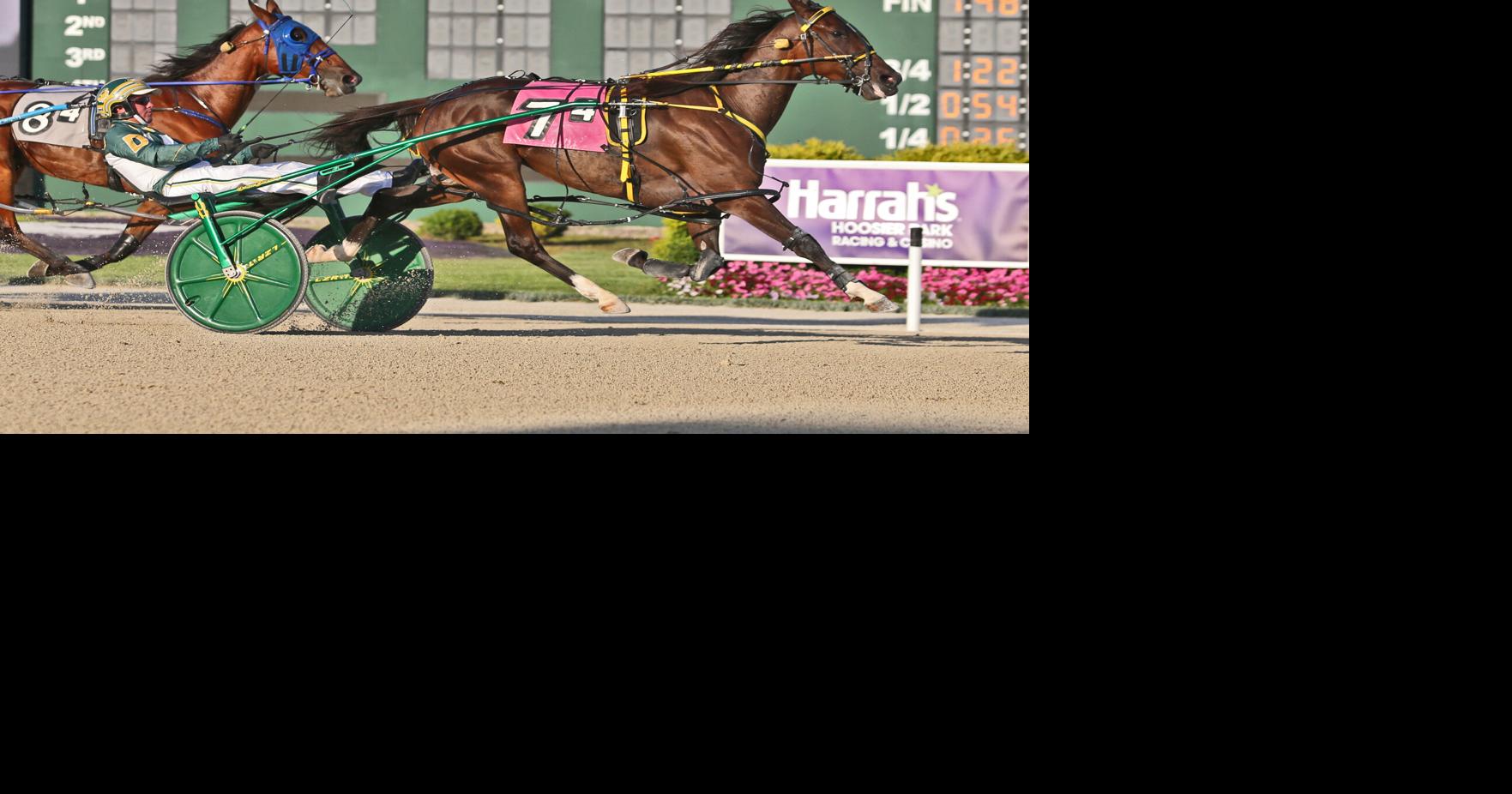 Local pacer Buzzsaw Russ enlisted as Dan Patch favorite | Sports ...