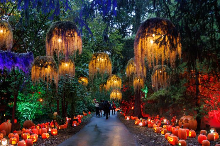 Harvest Nights is larger than life Halloween-themed exhibition | MAD ...