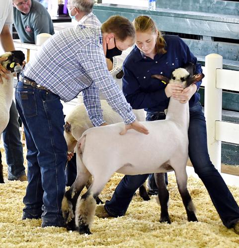 Madison County 4-H'ers happy to compete in live fair | Local News ...