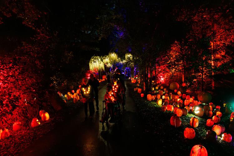 Harvest Nights is larger than life Halloween-themed exhibition | MAD ...