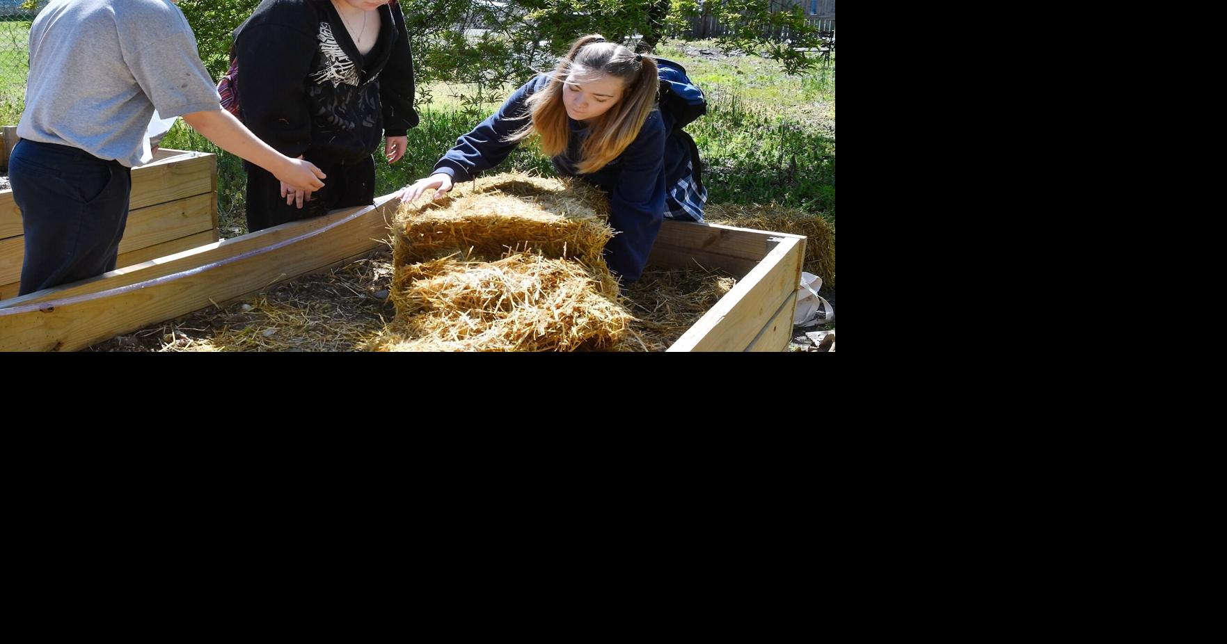 APA helping to feed the need for healthy foods | Local News ...