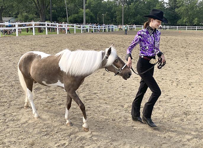 Three-day 4-H Horse and Pony Show kicks off at fair | Local News ...