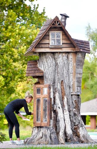 The Lending Tree | MAD Life | heraldbulletin.com